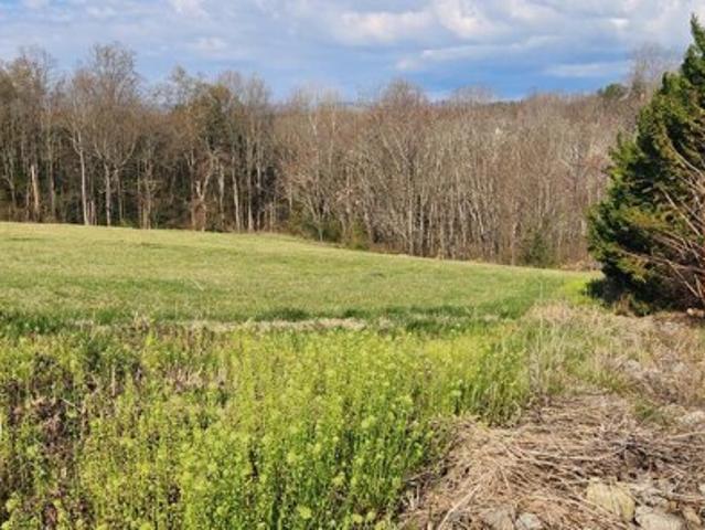 Kyles Ct Lot,rocky Mount, Plot For Sale
