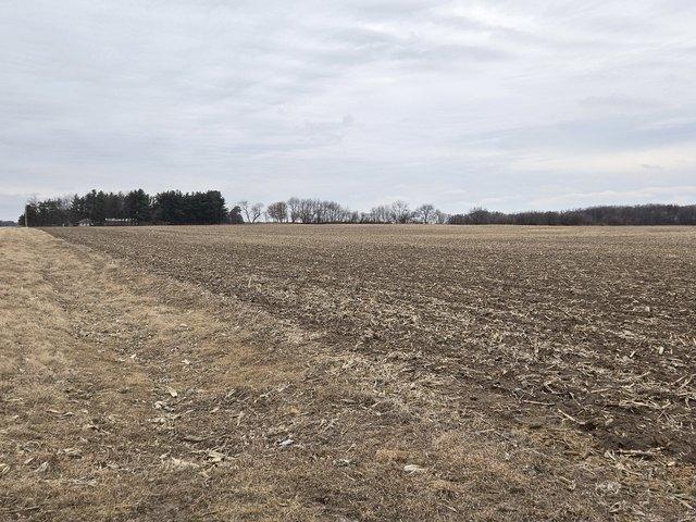 Kyte Rd, Rochelle, IL 61068