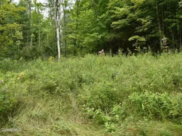 l3.4 HALL ROAD, JOHNSONVILLE, NY 12094 Vacant Land For Sale M.