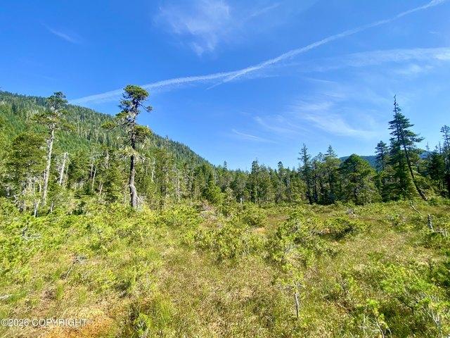 L3 W El Capitan, Whale Pass, AK 99000