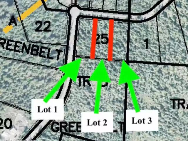 l3 CEDAR TREE DRIVE, COFFMAN COVE, AK 99918 Vacant Land For Sa.