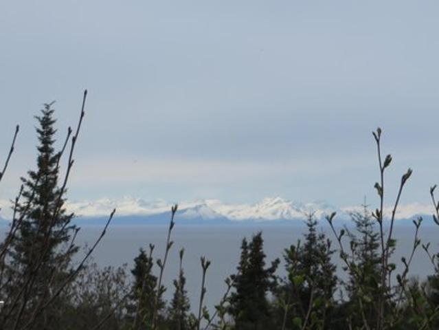L3 Sterling Hwy, Clam Gulch, AK 99568