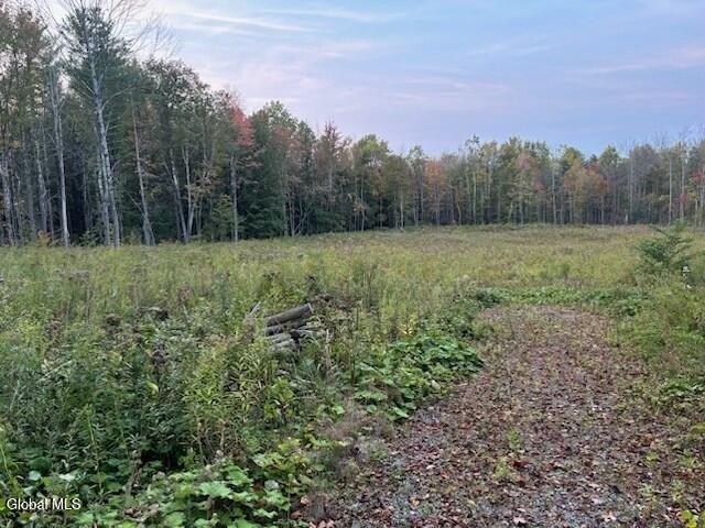 L100 1 Perth Rd, Galway, NY 12086