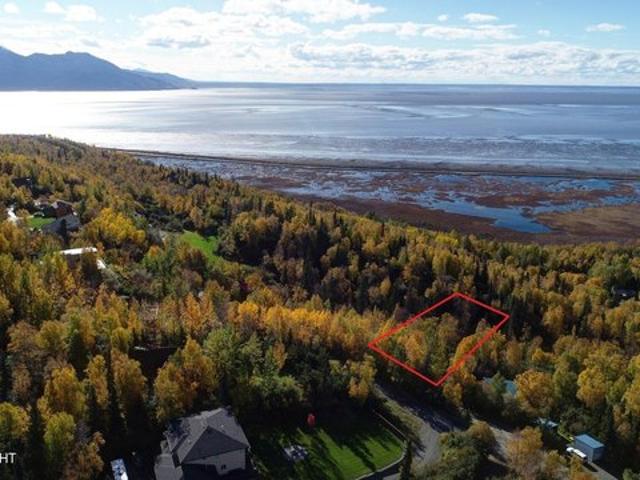 L10 Feodosia Dr, Anchorage, AK 99516