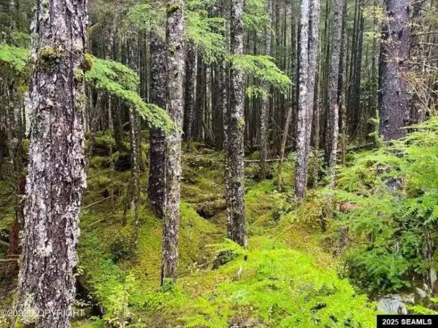 l10 LEGAL ADDRESS ONLY, NAUKATI BAY, AK 99000 Vacant Land For.