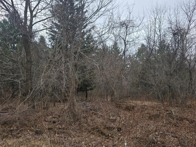 L11 b1 288th Ave NW, Zimmerman, MN 55398 | MLS #7052