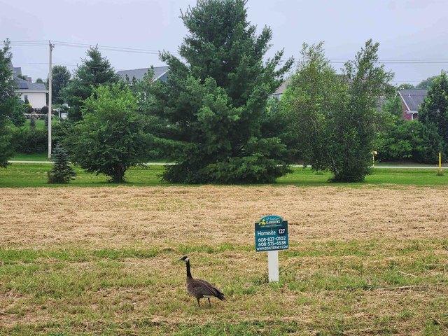 L128 Lucas Ln Lot 128, Sun Prairie, WI 53590
