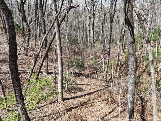 L129/124 Laurel Xing Lots 129 & 124, Blue Ridge, GA 30513