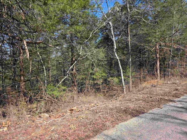 L12 B1 Hernando Drive
