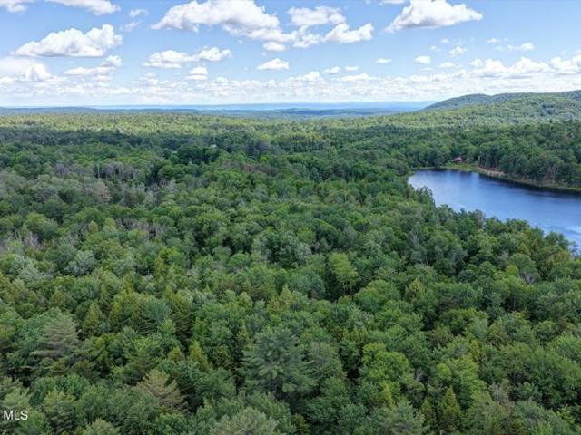 L13 Newkirks Lake Rd, Caroga, NY 12032