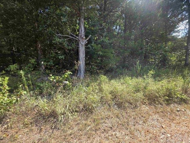 L14B4 Pawnee Dr, Cherokee Village, AR 72529