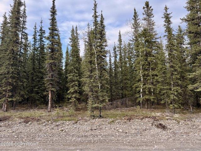 L14B9 Pringle Rd, Tok, AK 99780