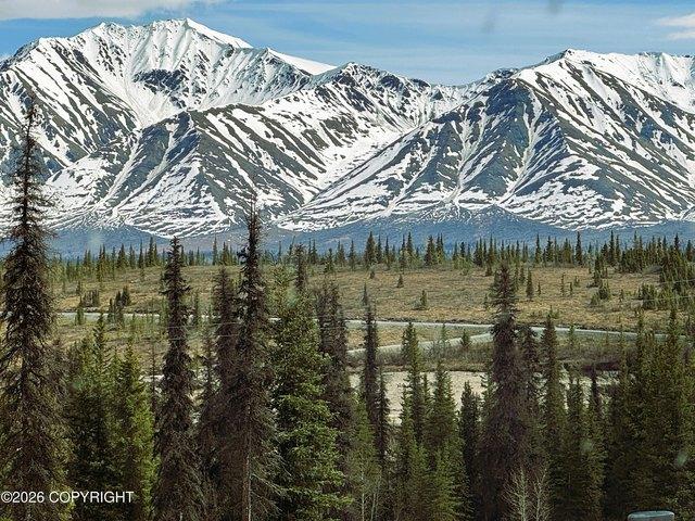 L15 Wonderstruck Ave, Cantwell, AK 99729