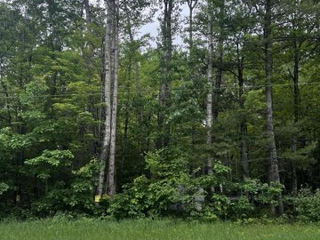 L163 165 N St Helen 165 Rd Lot 163, Roscommon, MI 48653