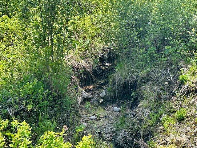 L16 B1 Shaw Gulch Road
