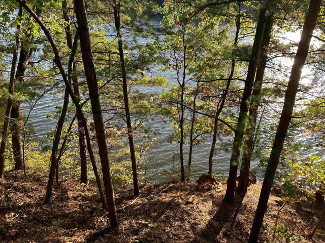 L16 mockingbird Whippoorwill Ct, La Valle, WI 53941 | MLS #1995