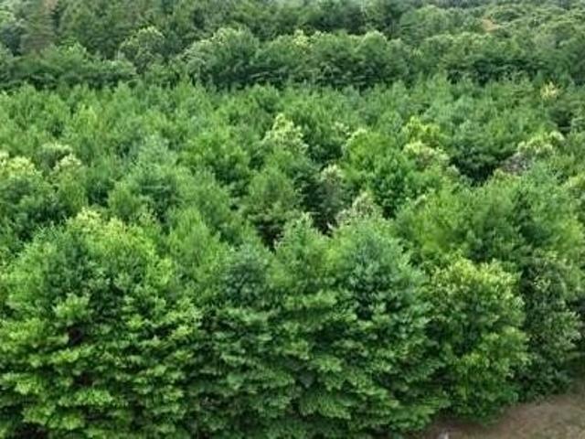 L16 Sandy Pines Ct Lot 16, Redgranite, WI 54970