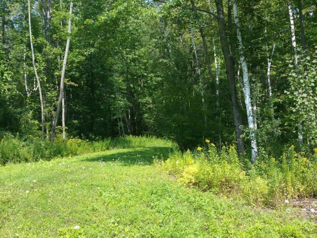 Lot 16 Reservoir Rd, North Adams, MA 01247 | MLS #248761 | Compass