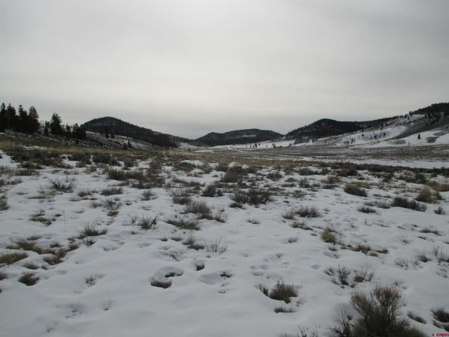L177 179/u2 Blue Mesa Dr, Powderhorn, CO 81243 | MLS #830912