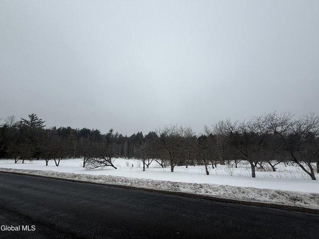 L172 Greens Corner Rd, Galway, NY 12074