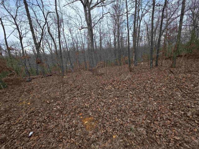 L17 B3 S Summit Ridge Drive