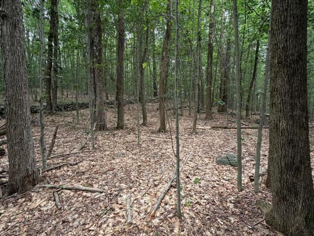 L184 Black River Road