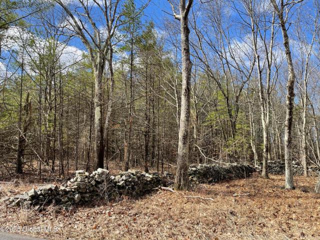 L18.2 Old Kings Rd, Hannacroix, NY 12087 | MLS #202523 | Compass