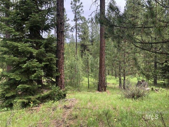 L18 Silver Cloud Dr, Cascade, ID 83611