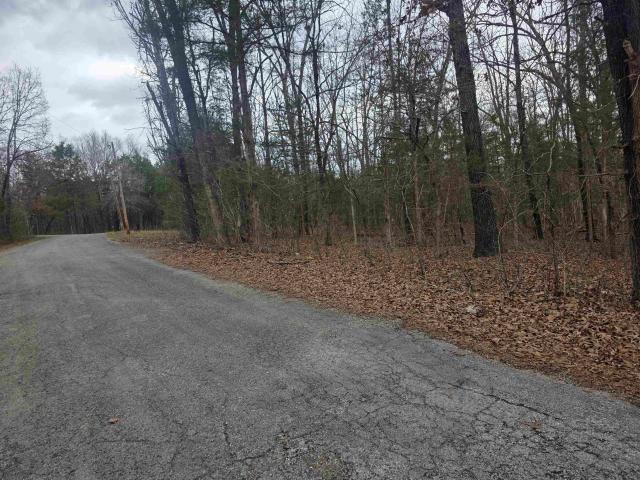 L19 B6 Big Horn Drive