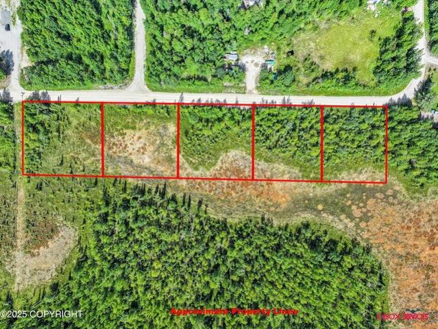L1 5 W Huskie Dr, Big Lake, AK 99654
