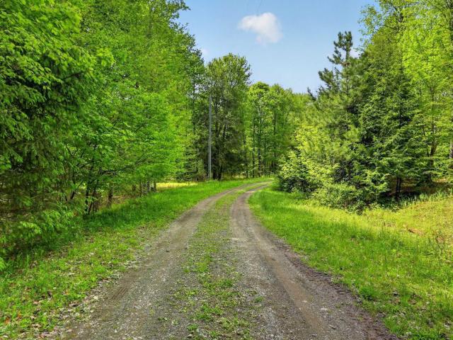 L1.6 Crystal Brook Path