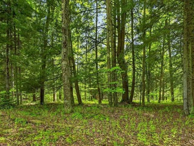 L1 6 Crystal Brook Path, Jefferson, NY 12093