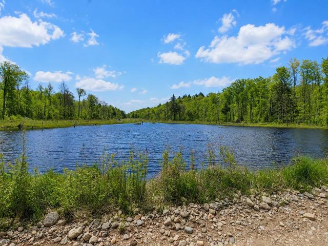 L1.12 county highway 56 # granshue rd
