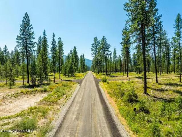l1 B1 WALLACE LN, BLANCHARD, ID 83804 Vacant Land For Sale ML.