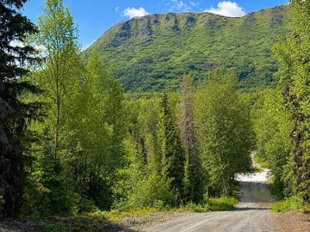 L1 Bean Creek Rd, Cooper Landing, AK 99572