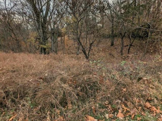 L1 JUDY LANE, Galena, MO 65656 Land For Sale MLS# 60253107