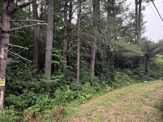 L1 Nine Mile Tree Rd, Mayfield, NY 12117
