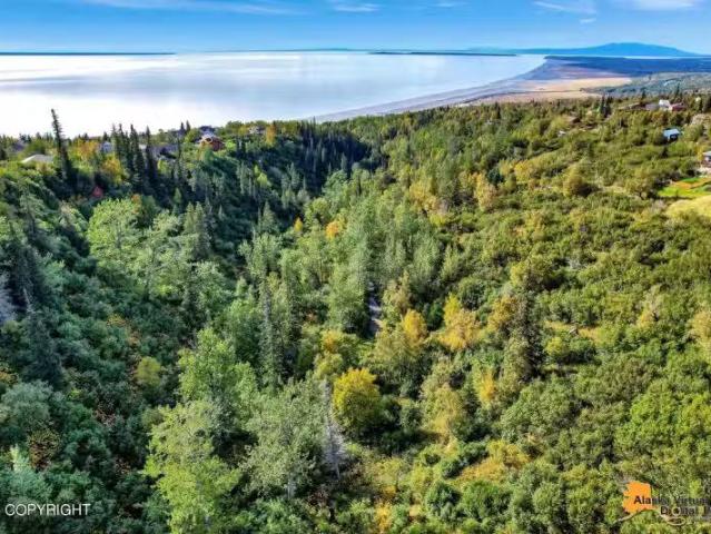 l21 22 BULGARIA DRIVE, ANCHORAGE, AK 99516 Vacant Land For Sal.