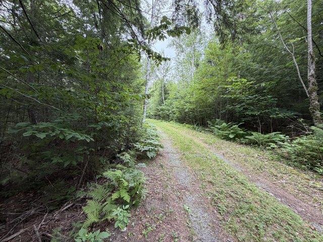 L21 Huff Rd, Danforth, ME 04424