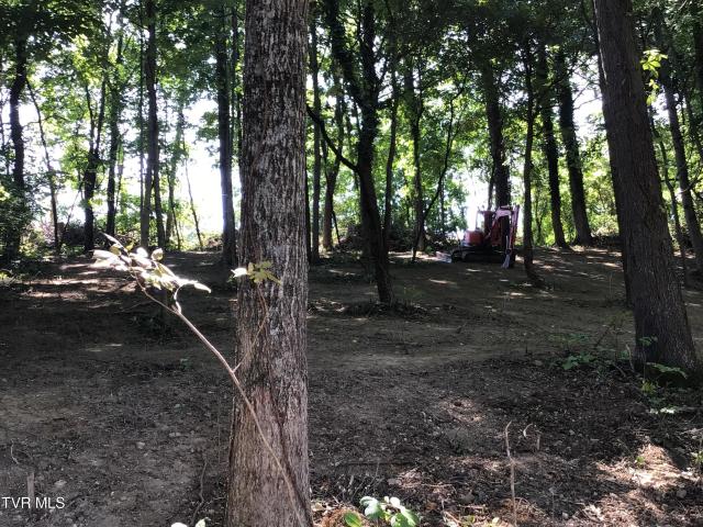 L24r Maple Crest
