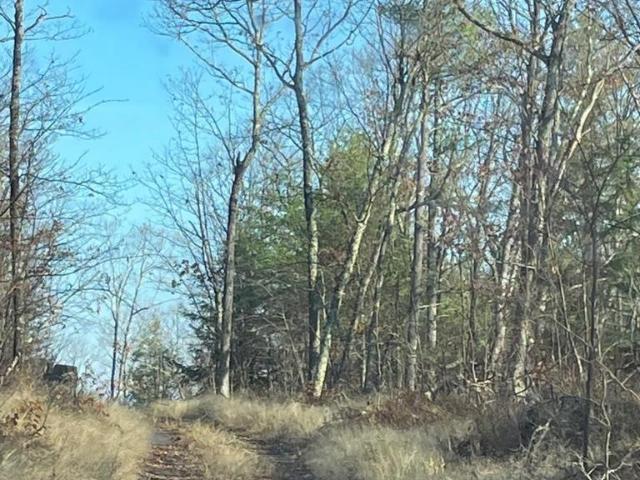 L26 & L27 Ecker Hollow Road