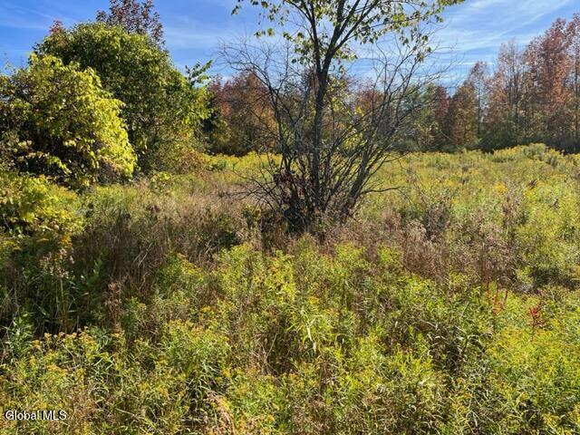 L27 Duanesburg Road