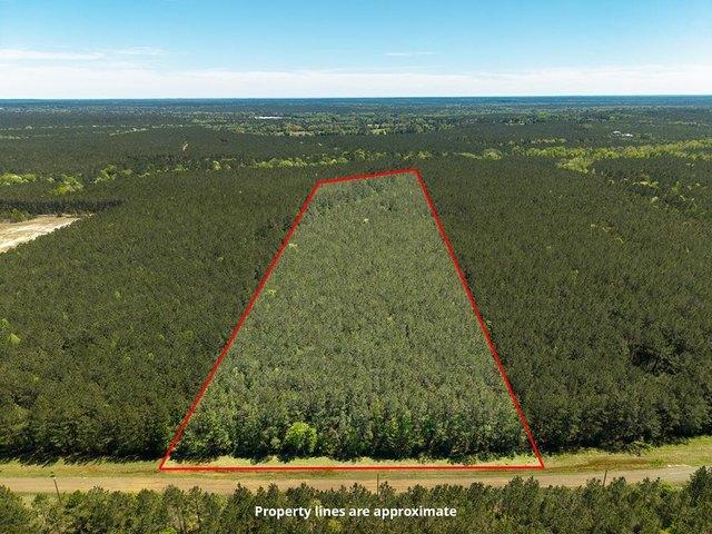 L28379 County Road 403, San Augustine, TX 75972