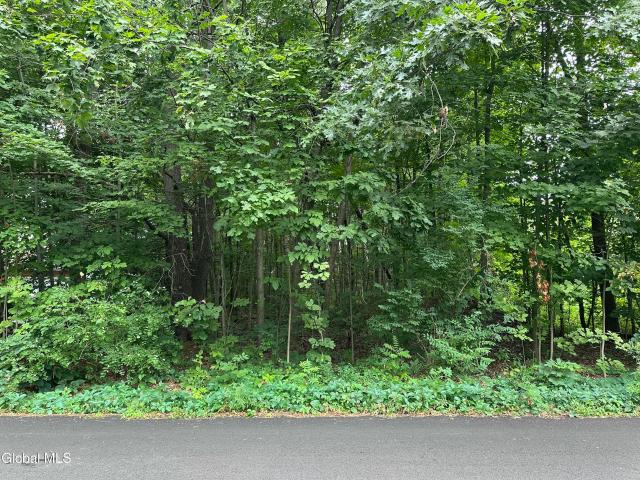 L28 Carl Avenue