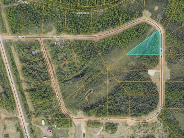 L28 Sipes Dr Lot 28, Salcha, AK 99714