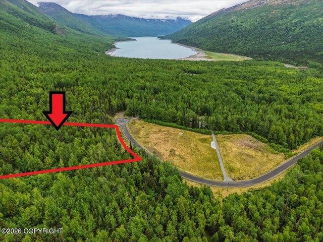 L2 Twin Peaks Dr, Chugiak, AK 99567