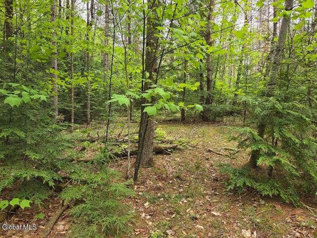 L2 & L3 Old Schroon Road