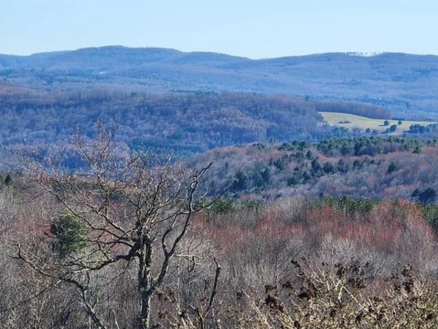 L2 Lang Rd Lot 2, Summit, NY 12175