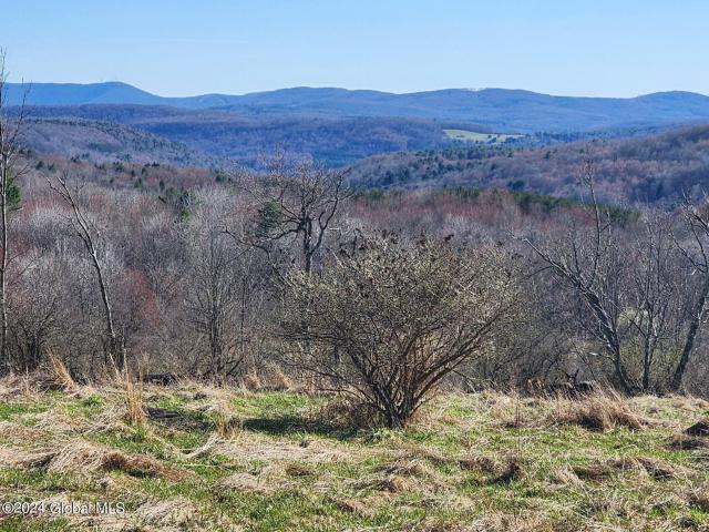 L2 Lang Rd Summit, NY 12175 | MLS #202416