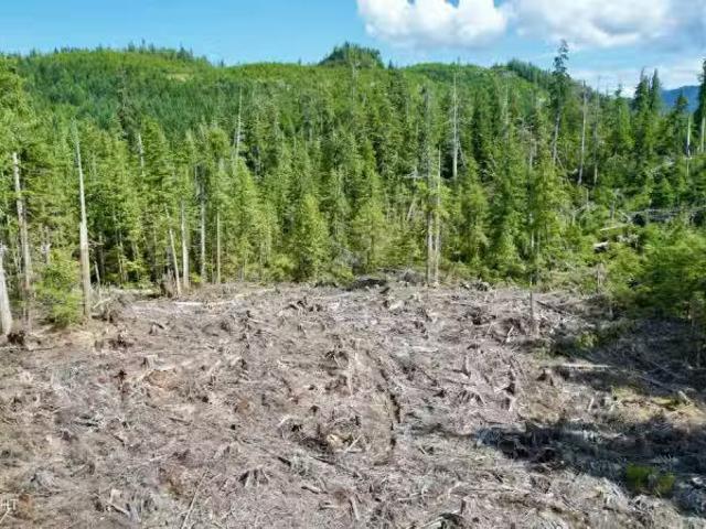 l2 STEEP ROAD, THORNE BAY, AK 99919 Vacant Land For Sale MLS#.
